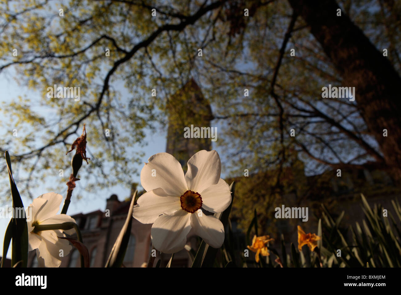 Iu Campus High Resolution Stock Photography and Images - Alamy