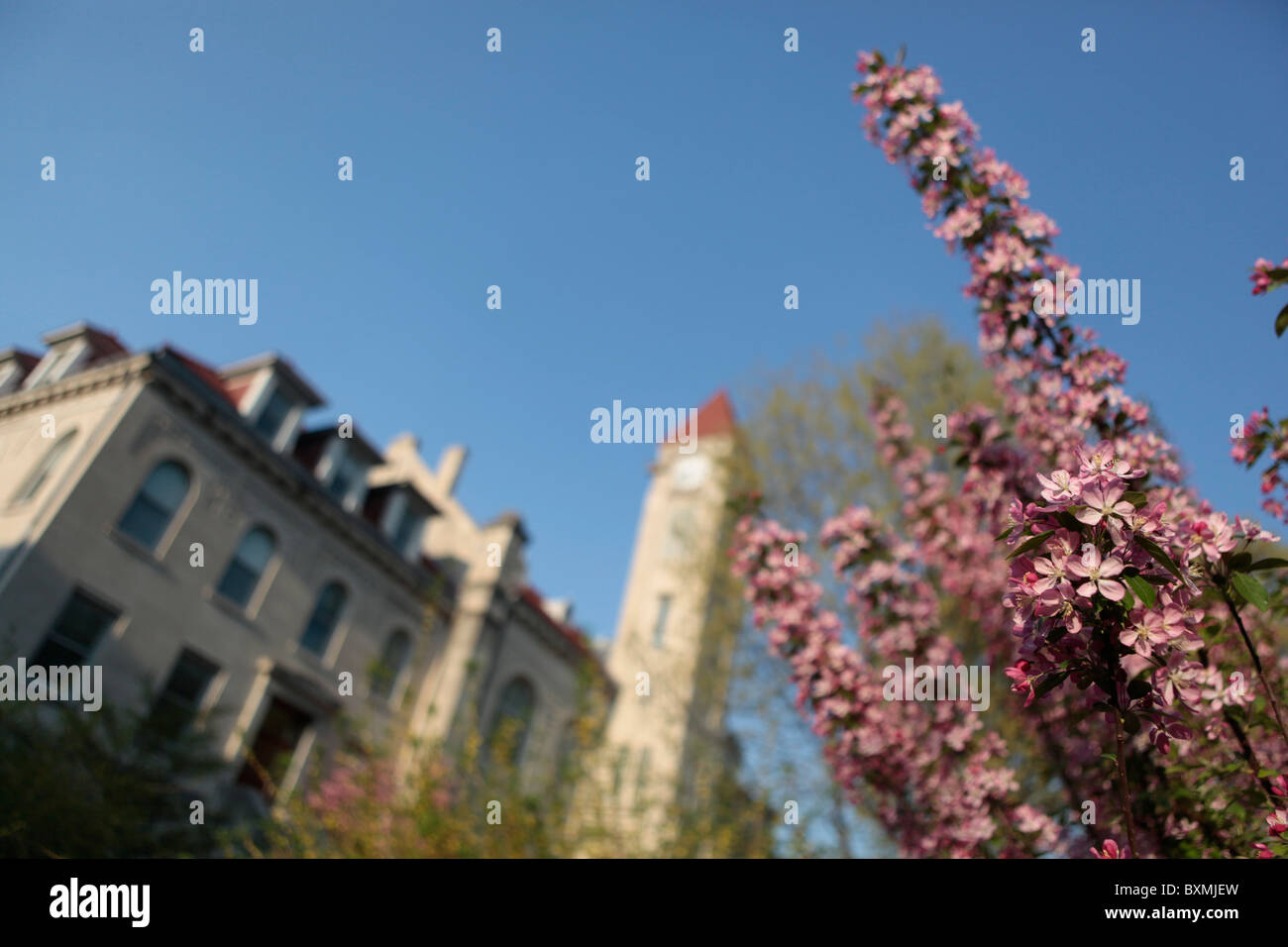Iu campus hi-res stock photography and images - Alamy