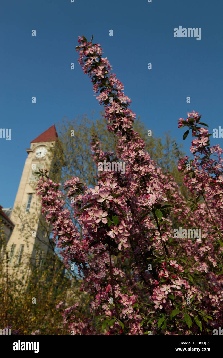 Iu Campus High Resolution Stock Photography and Images - Alamy