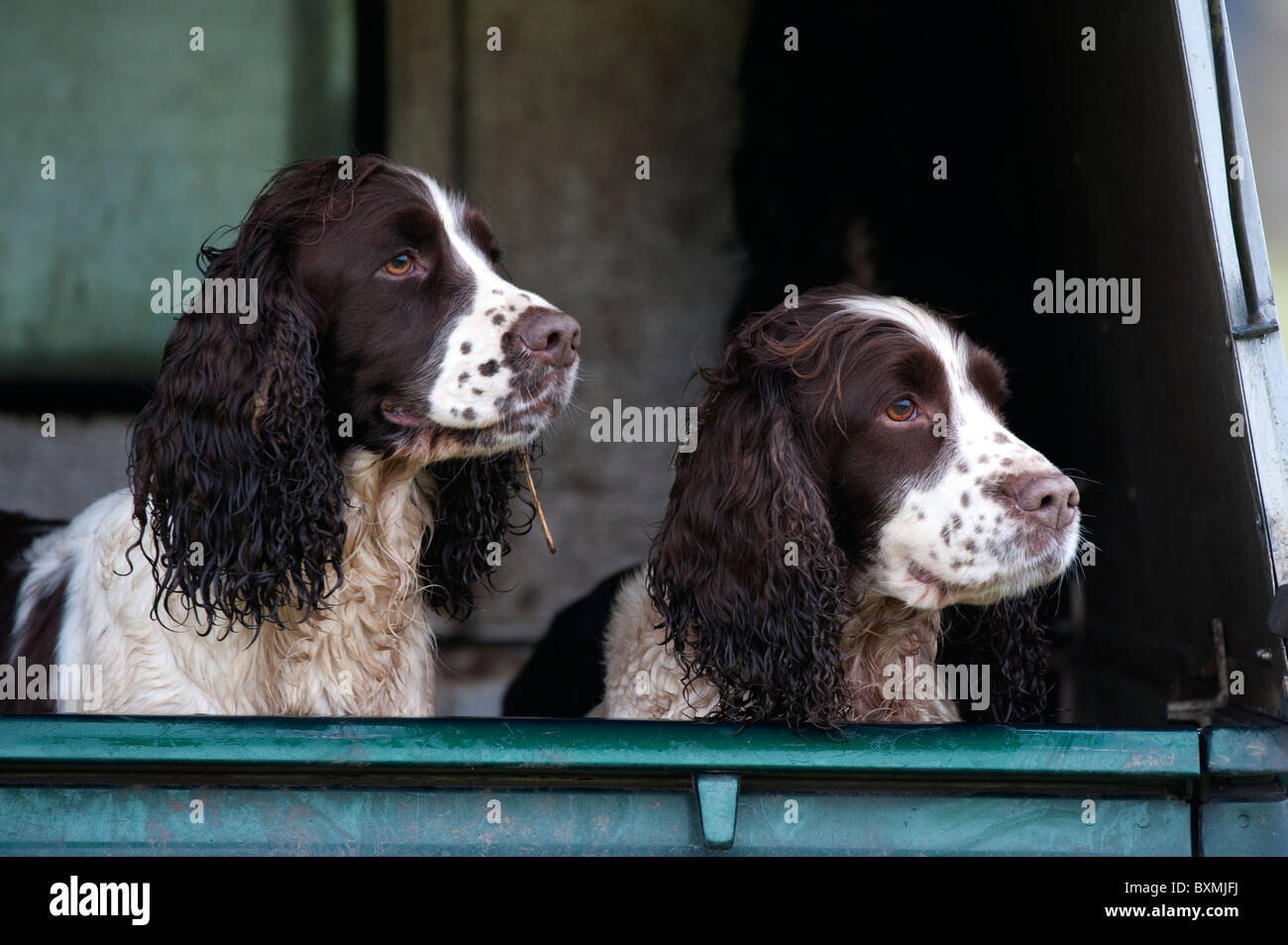 Shoot day 4x4 hi-res stock photography and images - Alamy