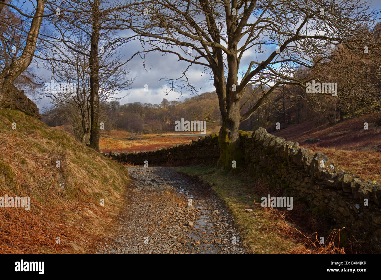 Beatrix potter lake district hi-res stock photography and images - Alamy