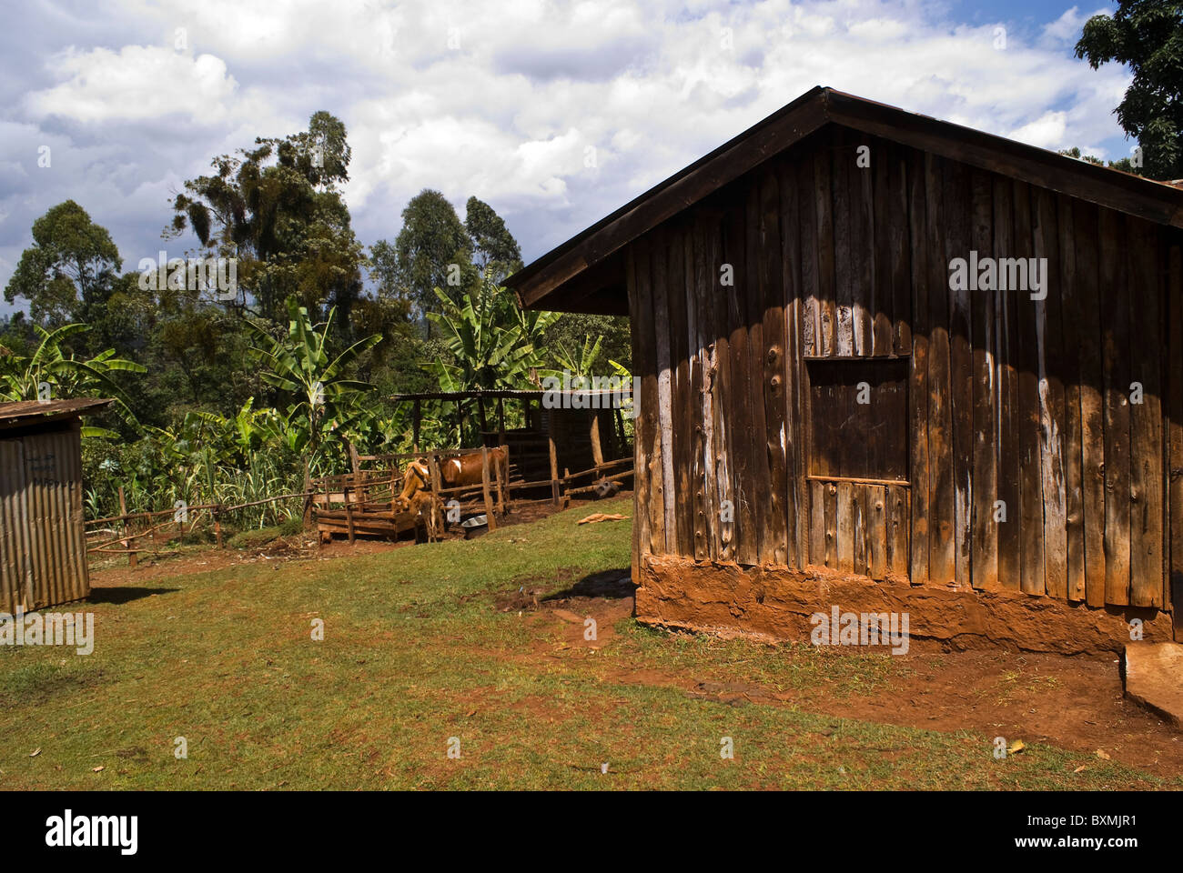 African farm house hi-res stock photography and images - Alamy