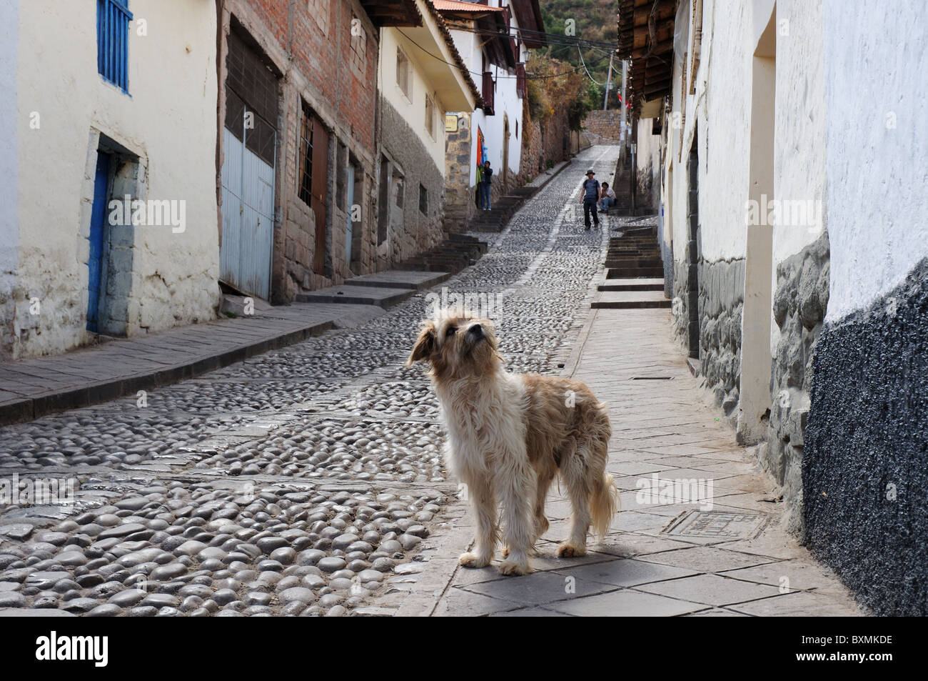Peruvian street scene hi-res stock photography and images - Alamy
