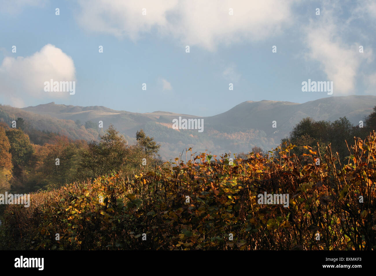 Berwyn mountain wales hi-res stock photography and images - Alamy