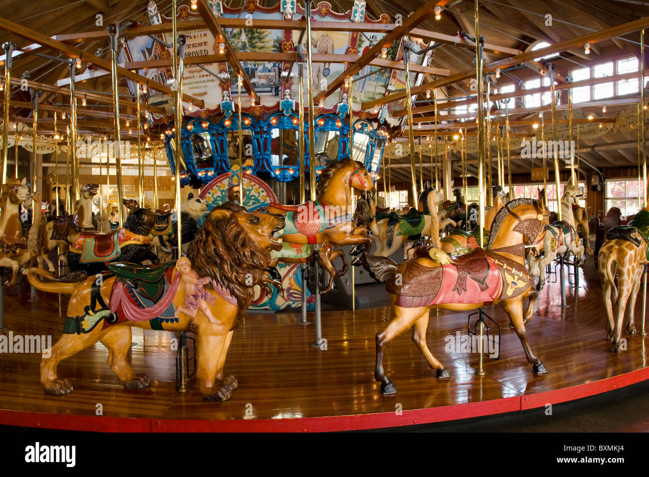 Carousel Lion and Horse. Carousel at Richland Carousel Park. Mansfield ...