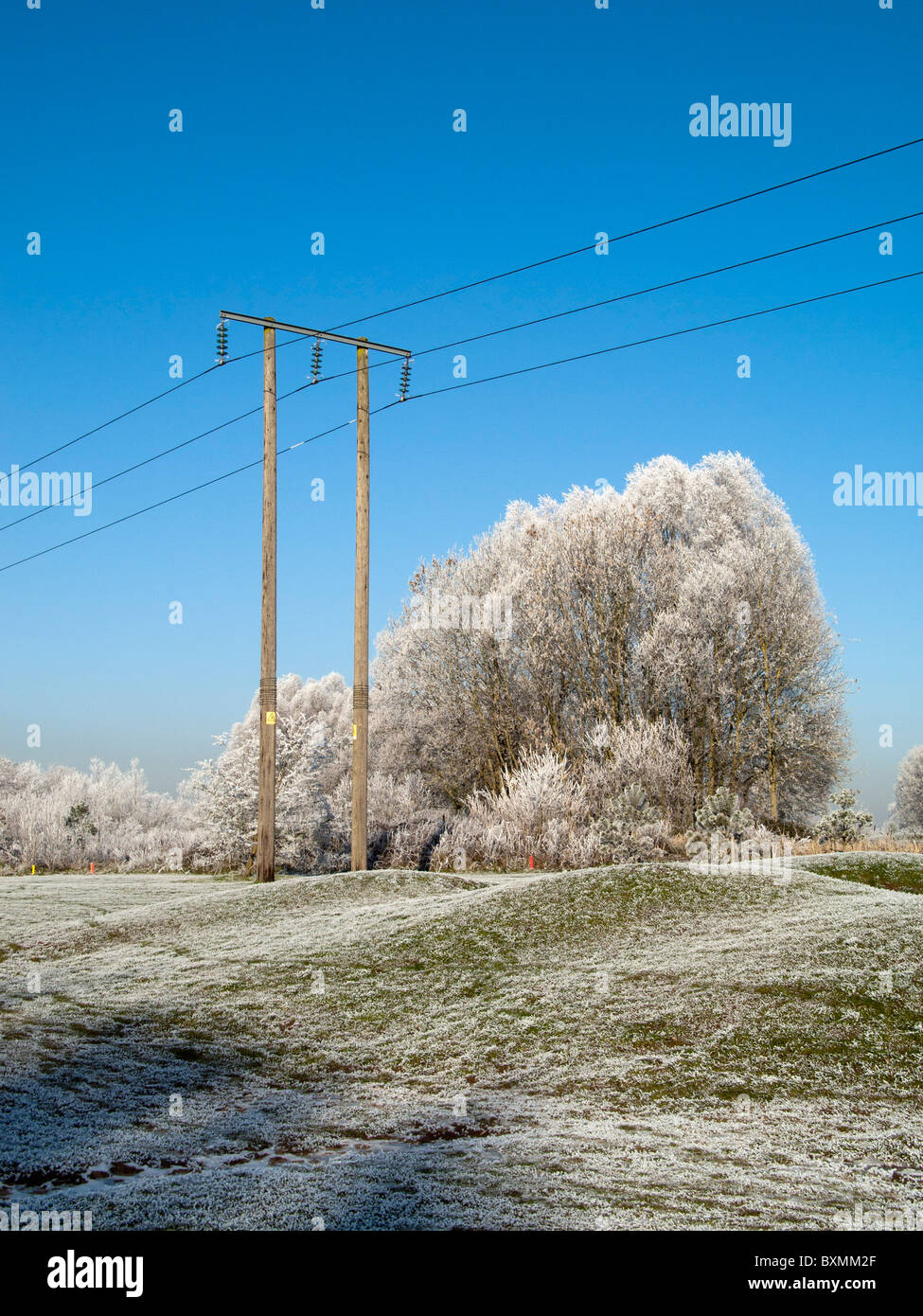 telephone cables and wires Stock Photo - Alamy