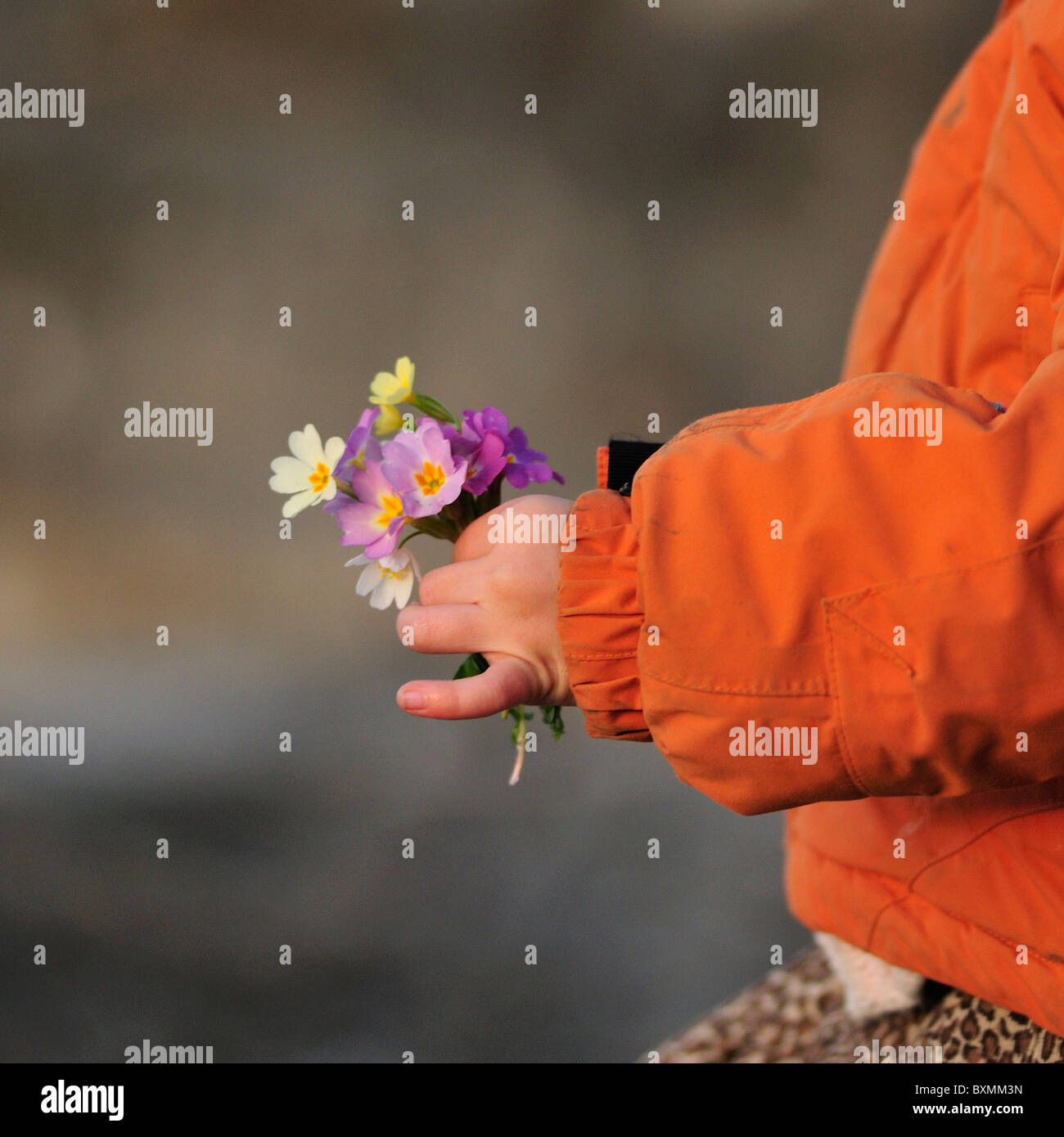 kids hand with flower Stock Photo - Alamy