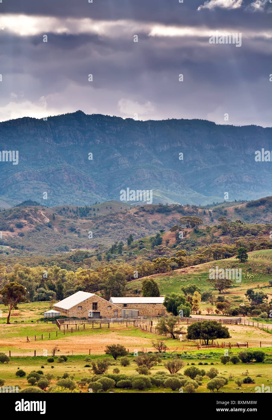 Woolshed hi-res stock photography and images - Alamy
