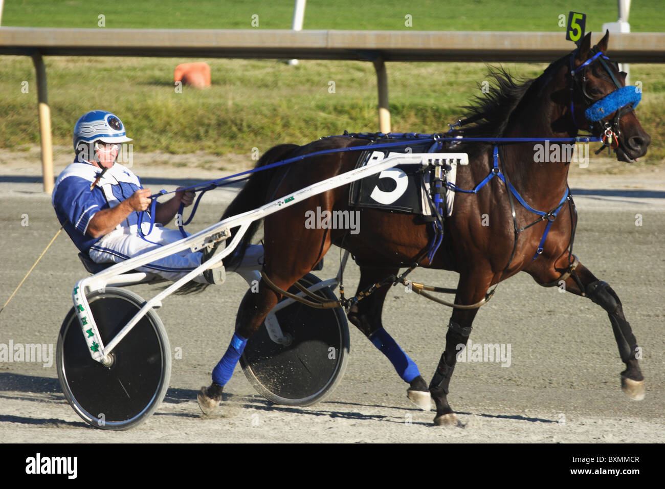 Harness racing at Colonial Downs racetrack in New Kent County, Virginia ...