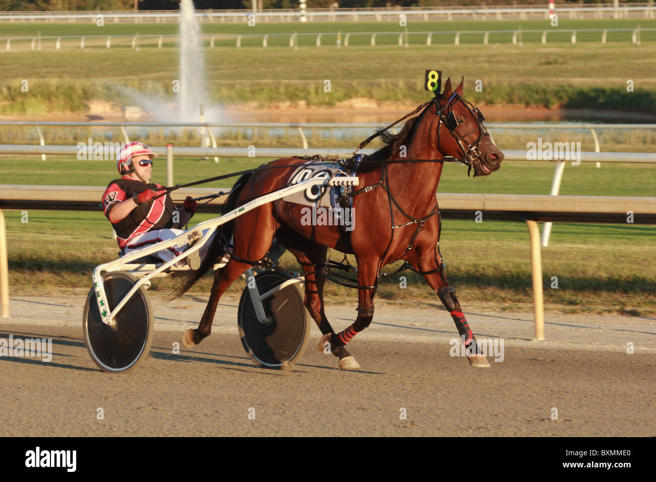 Harness racing usa hi-res stock photography and images - Alamy