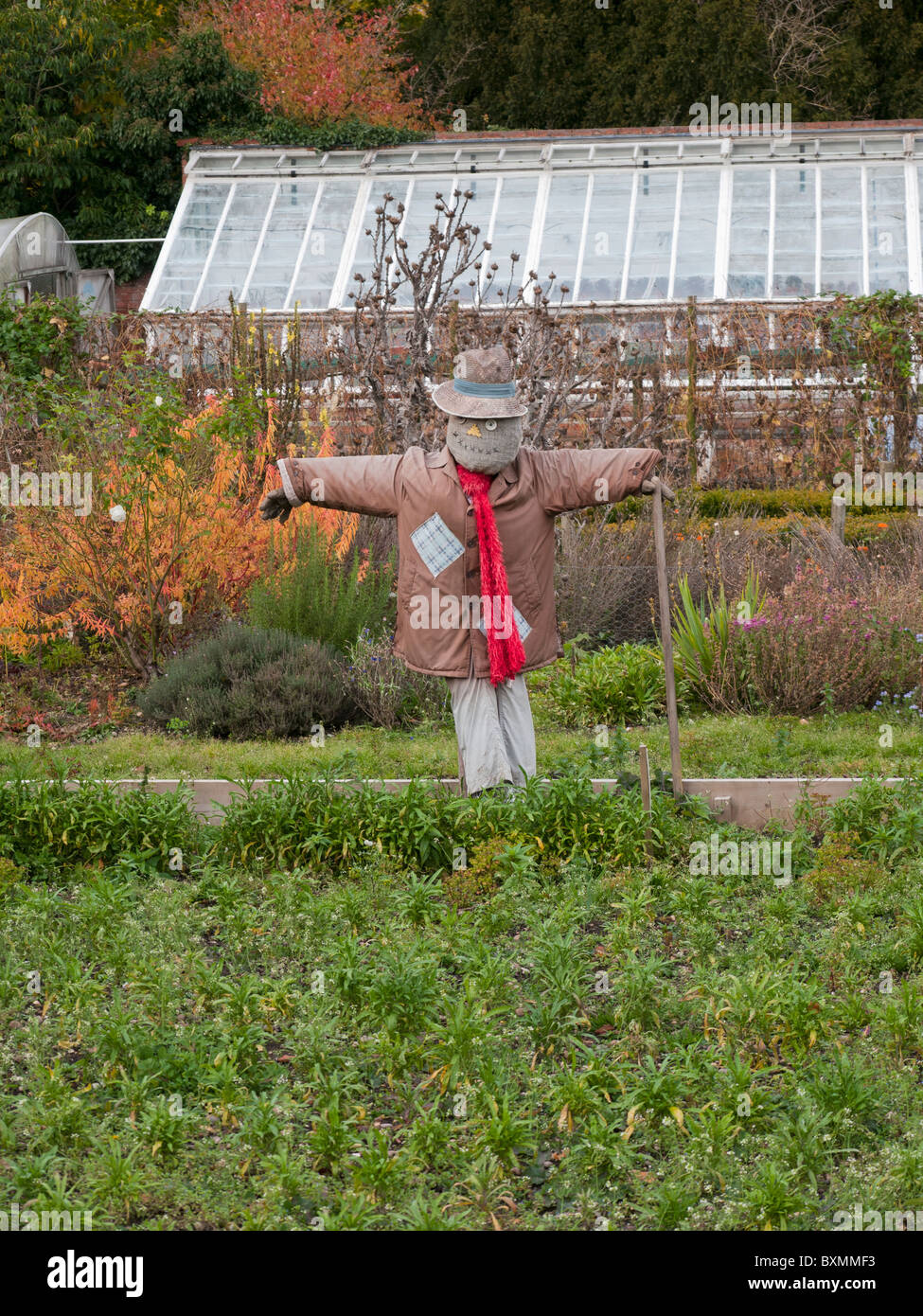 scarecrow on garden Stock Photo - Alamy