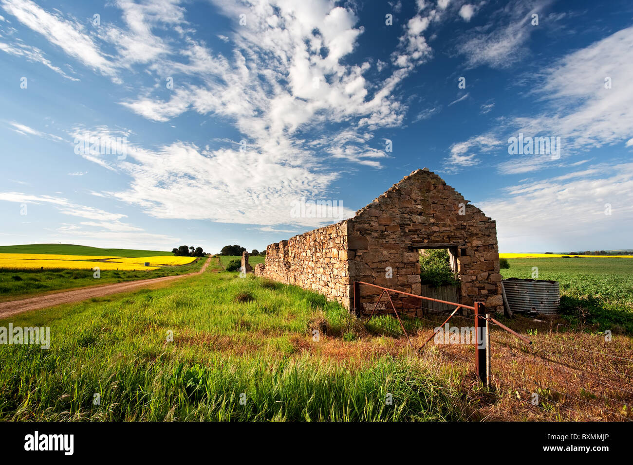 Mid North Canola Stock Photo - Alamy