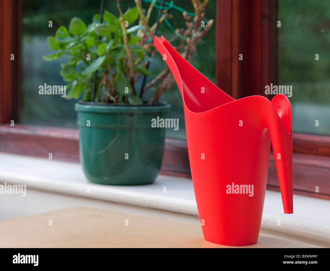 red watering can in conservatory Stock Photo - Alamy