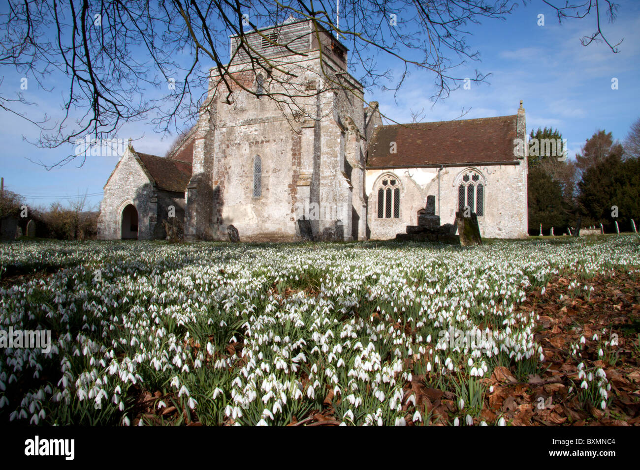 Damerham hi-res stock photography and images - Alamy