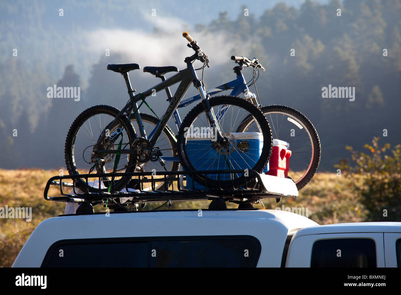 Bikes Loaded on the roof of a Van in a Redwood Natural Park,USa Stock ...