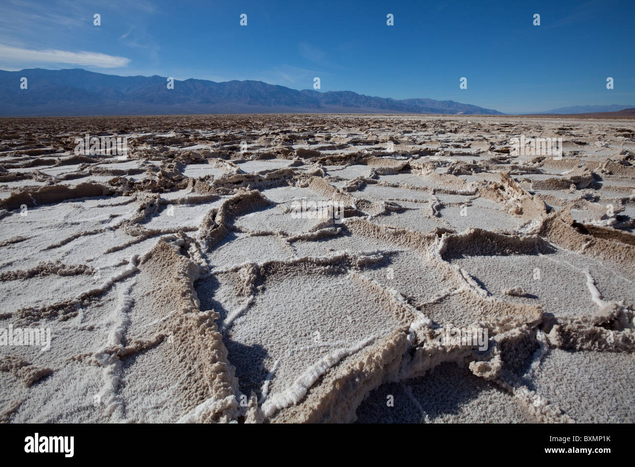 Crystal salt formation hi-res stock photography and images - Alamy