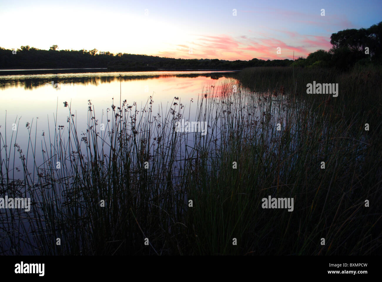 Yanchep National Park, Yanchep, Perth, Western Australia Stock Photo ...