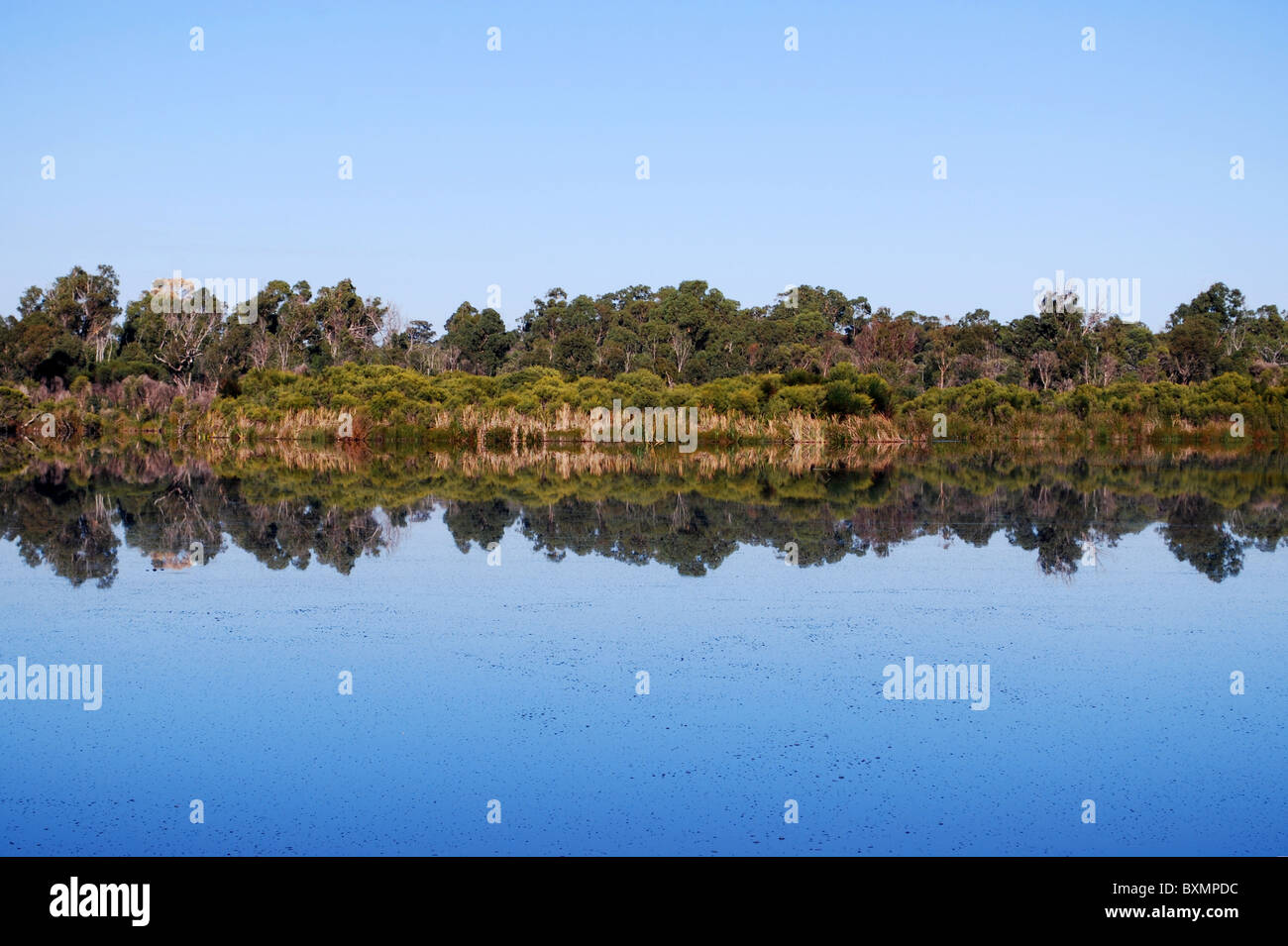 Yanchep lake hi-res stock photography and images - Alamy