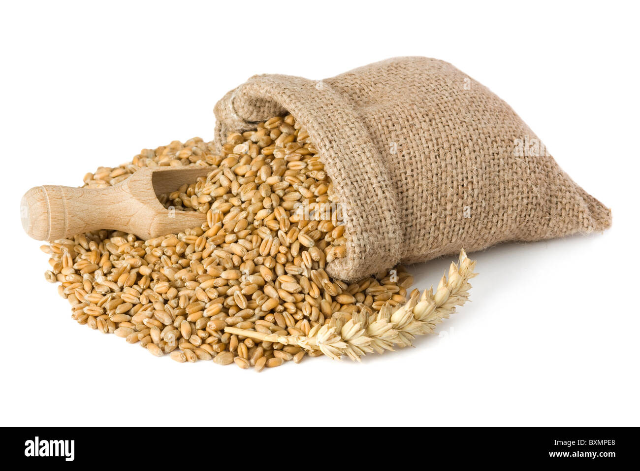 Wheat in small burlap sack Stock Photo - Alamy