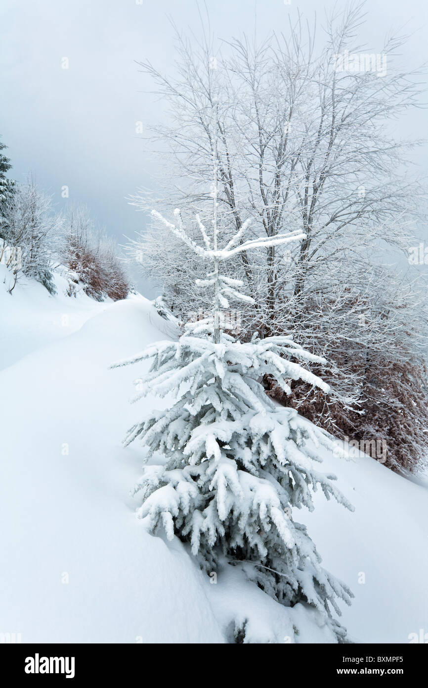 Dull hill hi-res stock photography and images - Alamy
