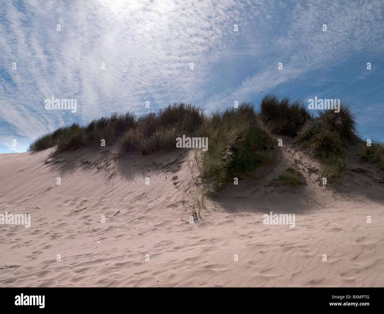 crow point on the estuary of the river taw braunston burrows nature ...