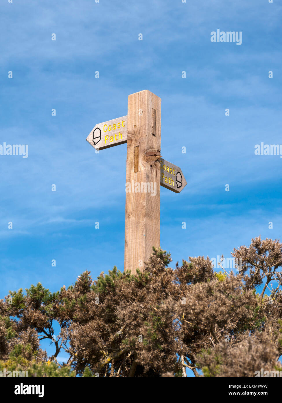 crow point on the estuary of the river taw braunston burrows nature ...