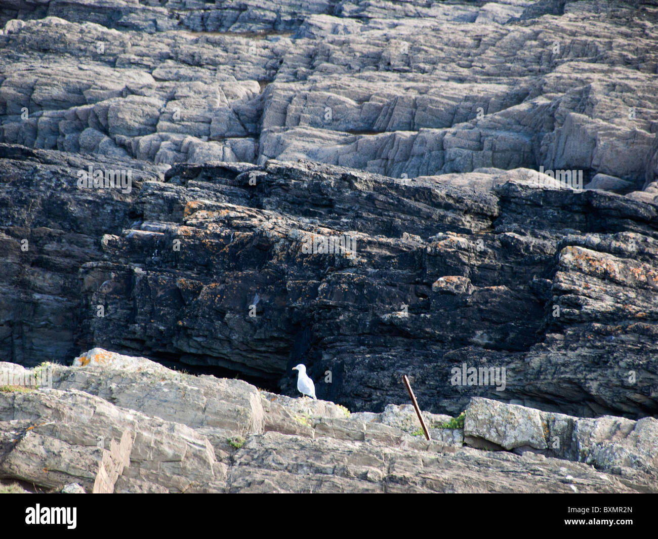 Croyde Bay Resort High Resolution Stock Photography and Images - Alamy