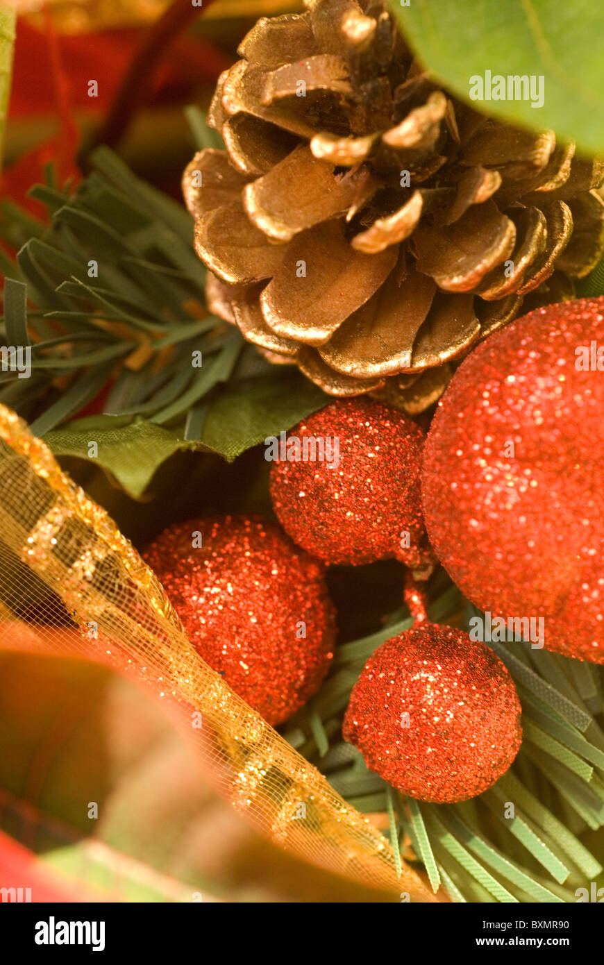 red leaves at Christmas Poinsettia plant Stock Photo - Alamy