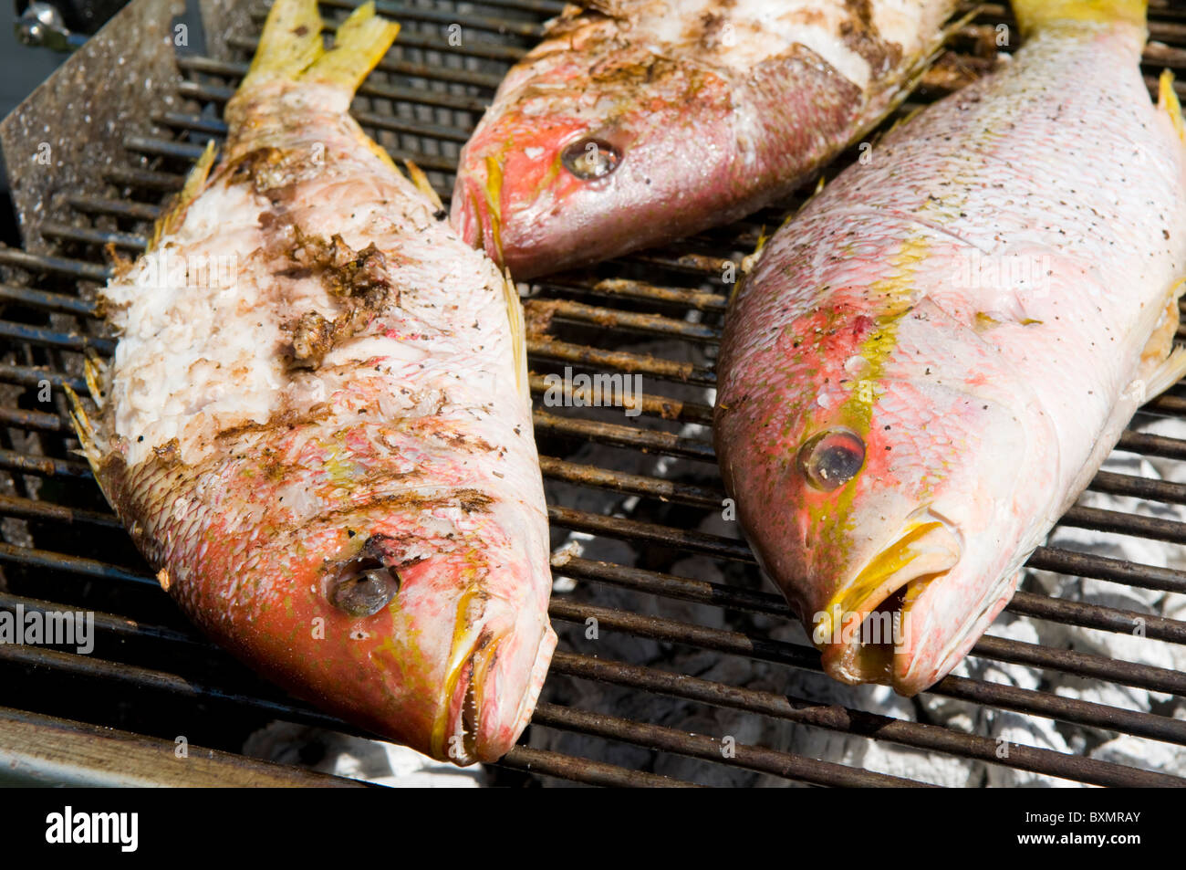 Red Snappers being cooked outside on a Barbecue Grill Stock Photo - Alamy