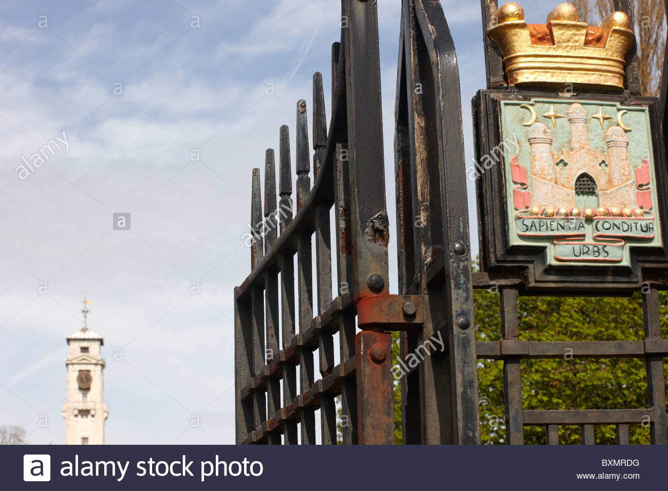 Coat Of Arms Shield University High Resolution Stock Photography and ...