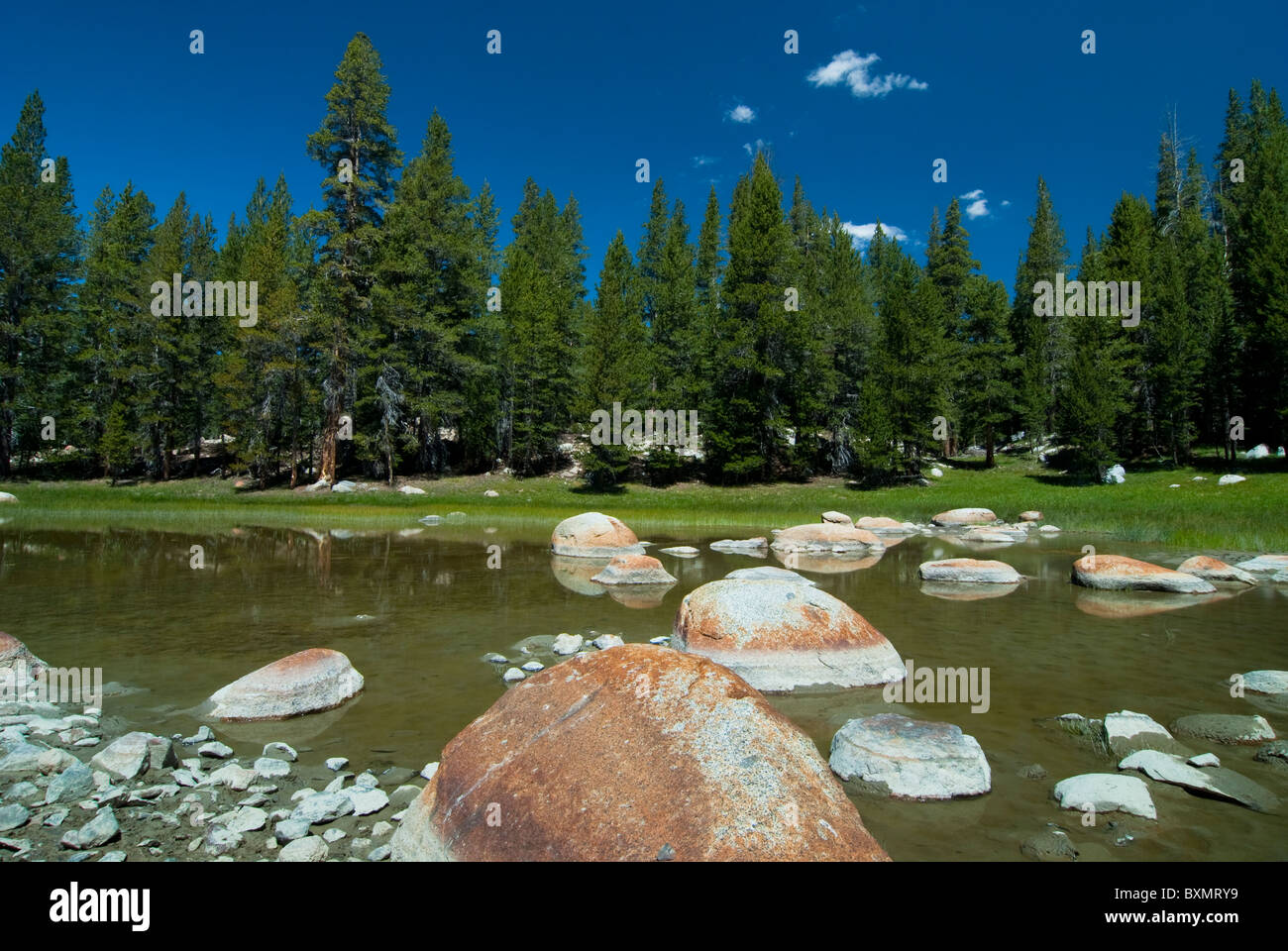 Lake along Tioga Road Stock Photo - Alamy
