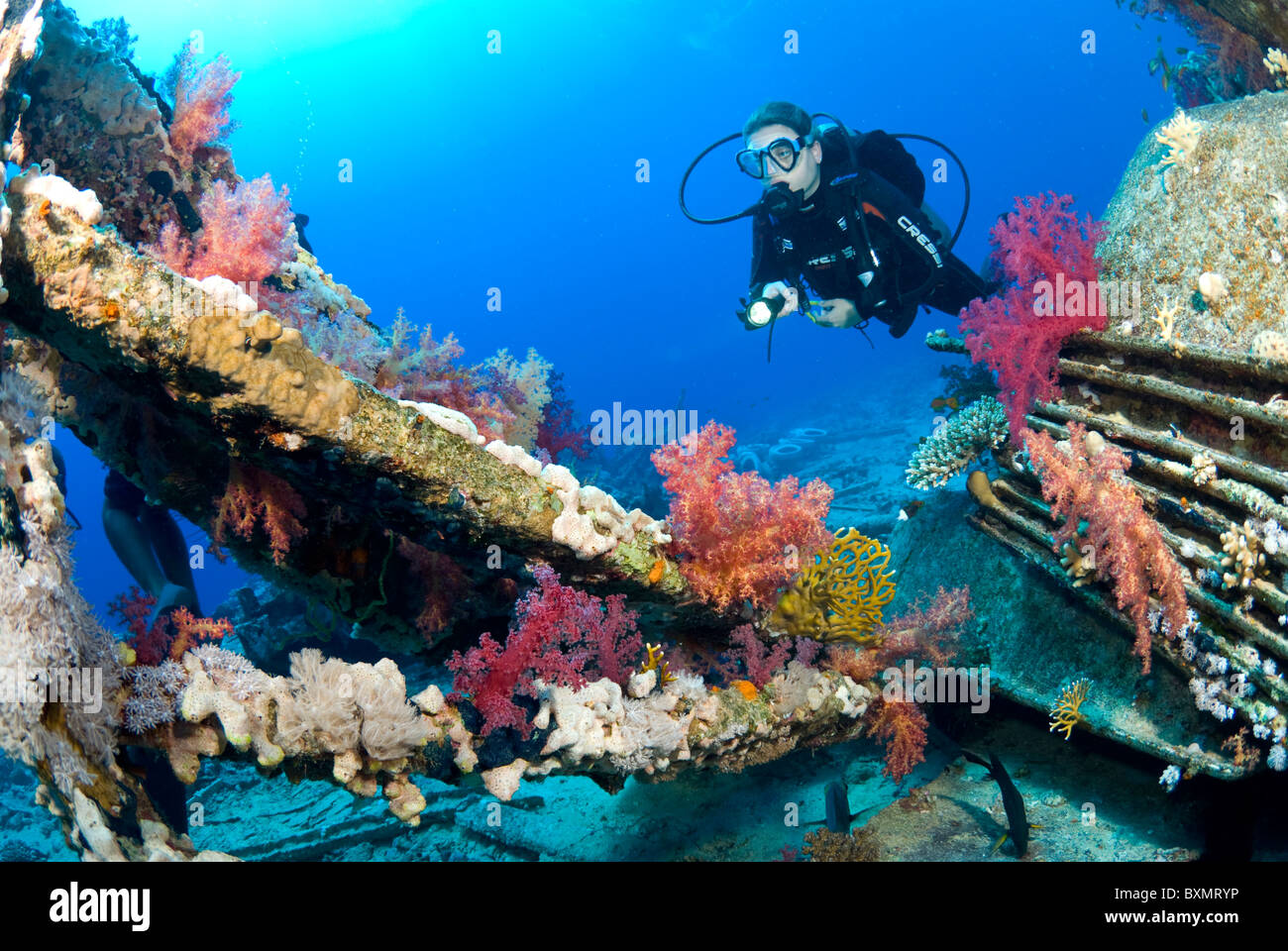 Wreck of Yolanda, Shark Yolanda reef, Ras Mohammed national park, Sinai ...