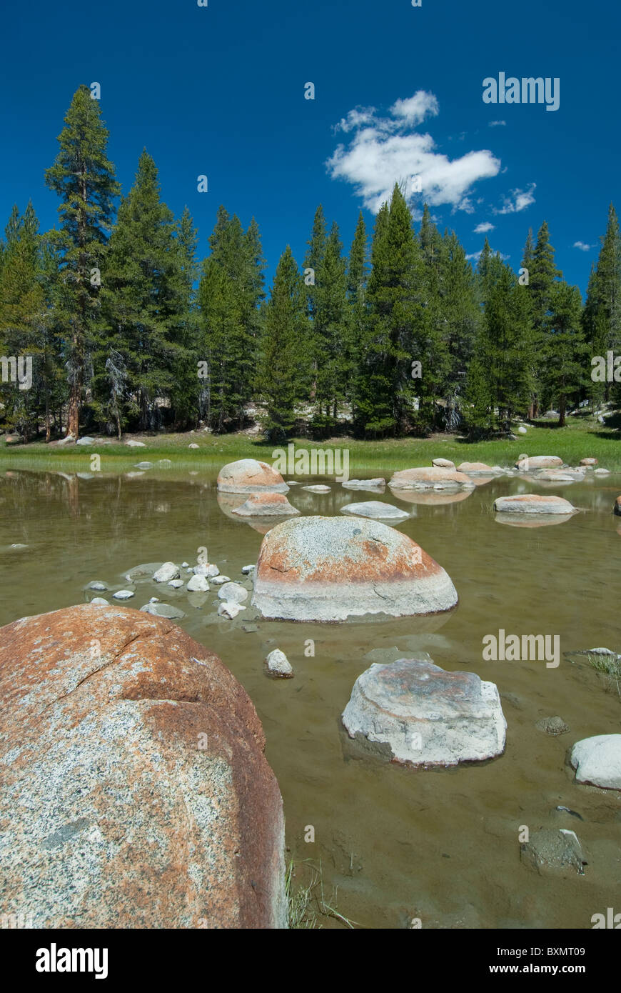 Tioga road hi-res stock photography and images - Alamy
