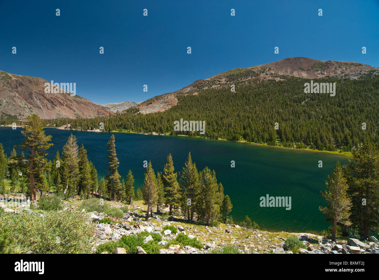 Tioga park hi-res stock photography and images - Alamy