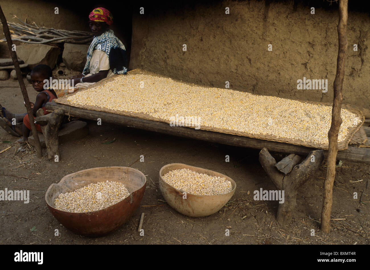 Bedik woman drying corn in front of his hut. " Village of Iwol ...