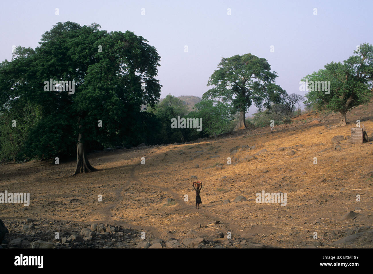Bedik girl carrying water " Village of Iwol " Bassari COUNTRY ...