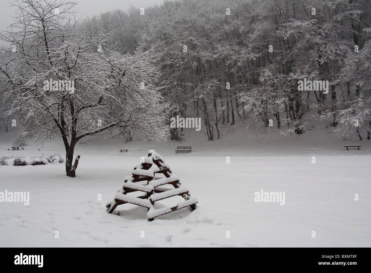 A snowy scene in Germia Park, a public area outside Prishtina in Kosovo ...