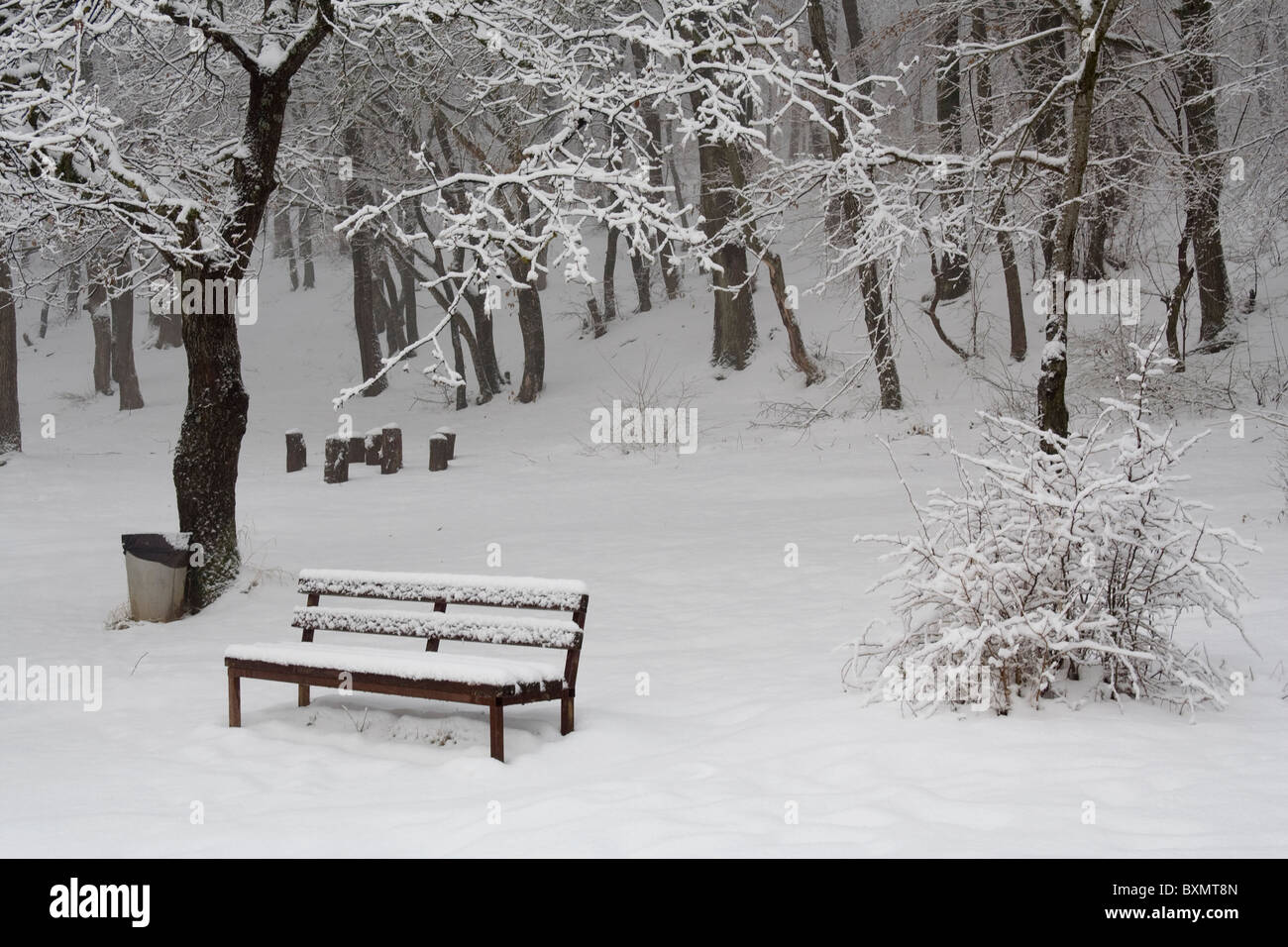 A snowy scene in Germia Park, a public area outside Prishtina in Kosovo ...