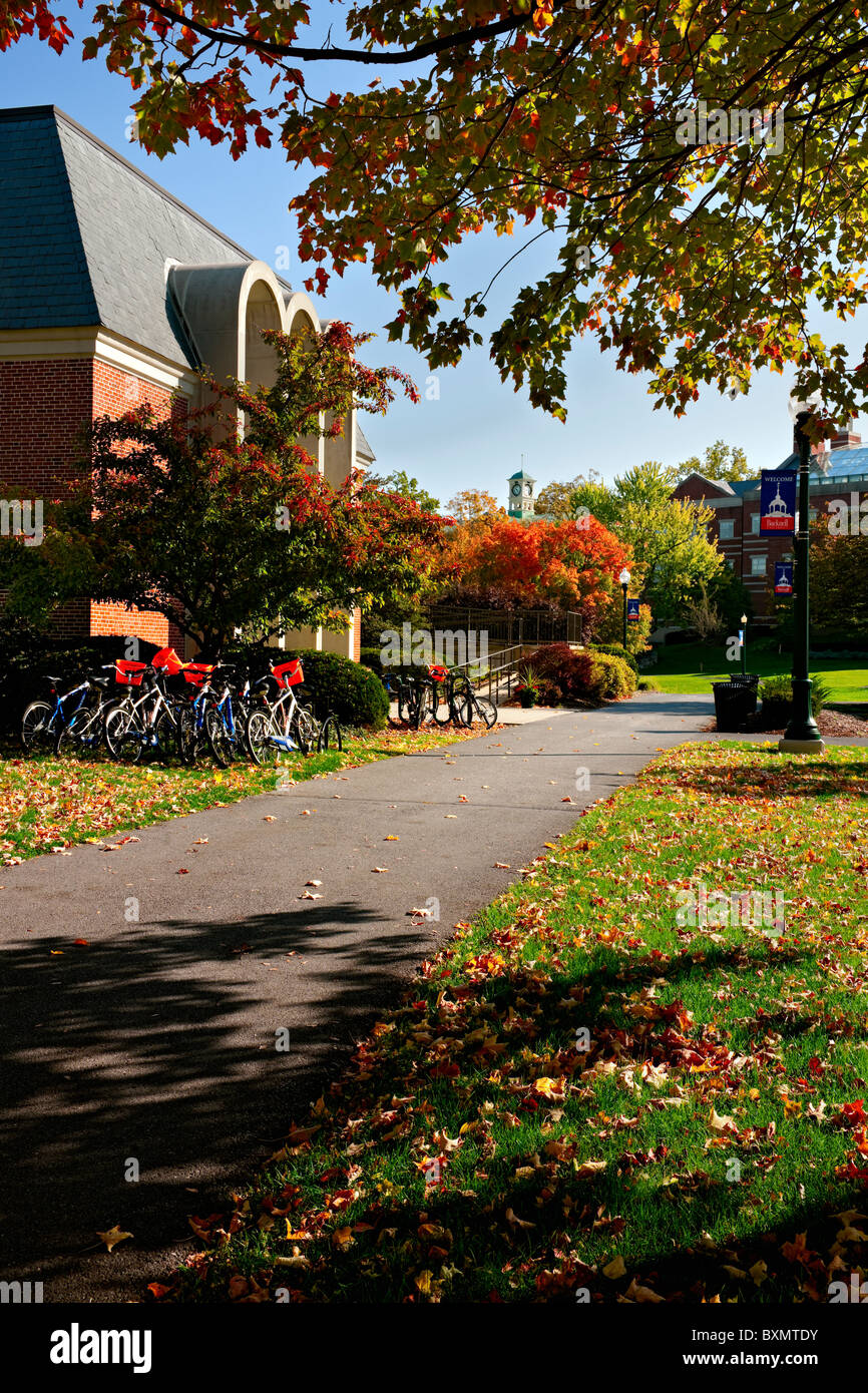 Bucknell University Students