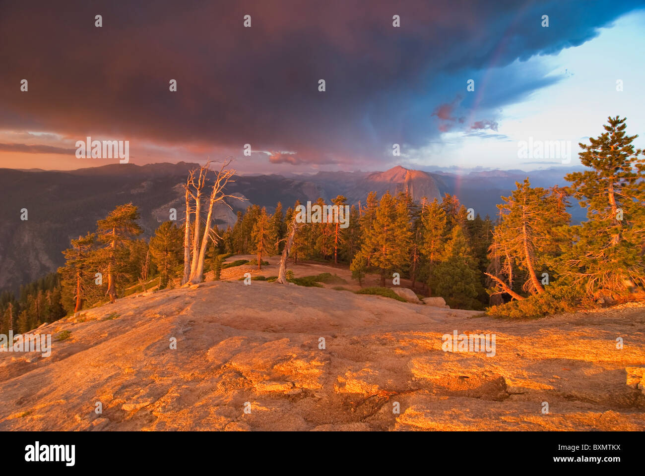 Sentinel Dome Jeffrey Pine High Resolution Stock Photography and Images ...