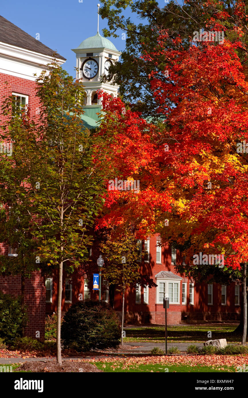 Bucknell University Students