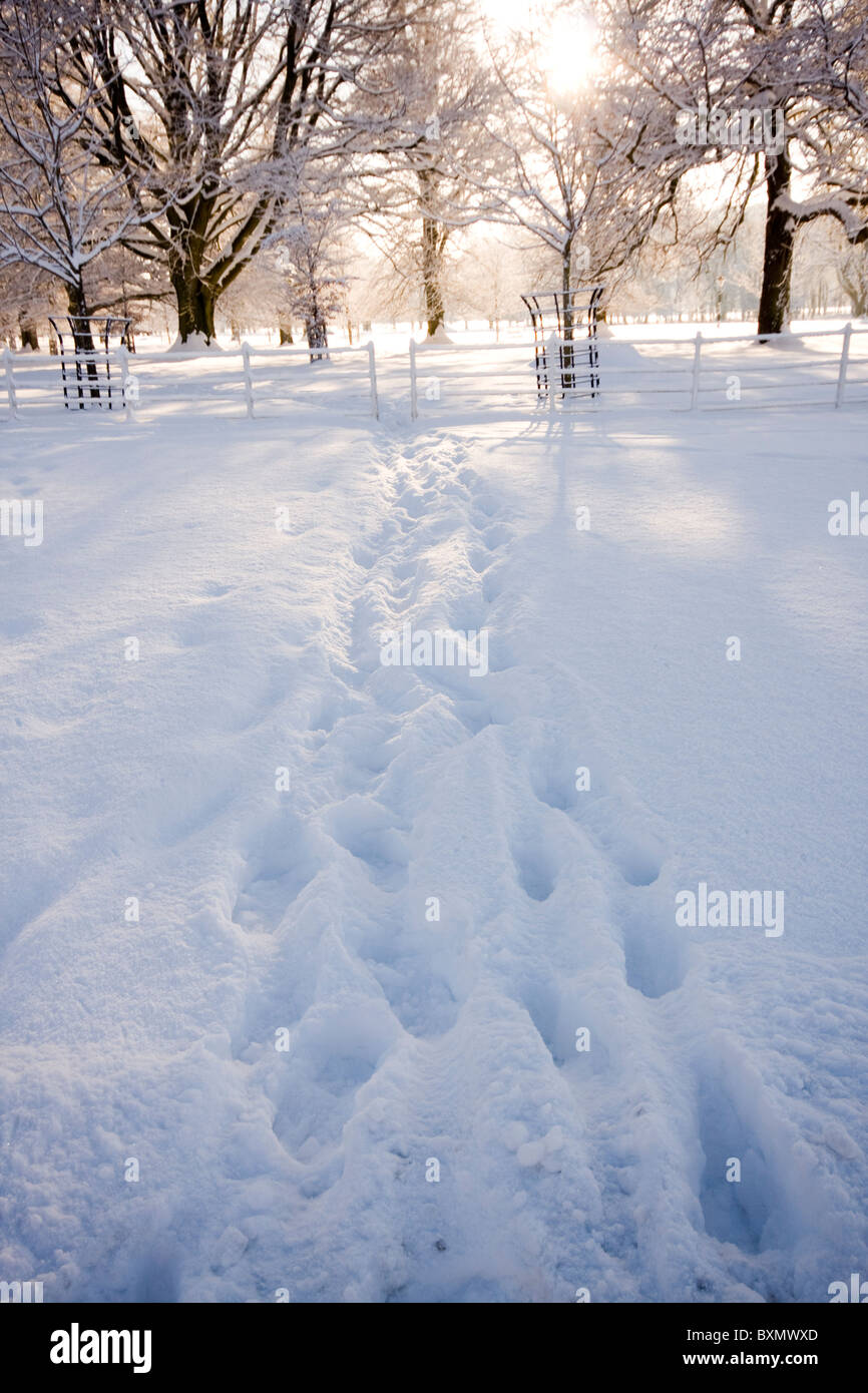 footsteps on snow goes to small gate Stock Photo - Alamy