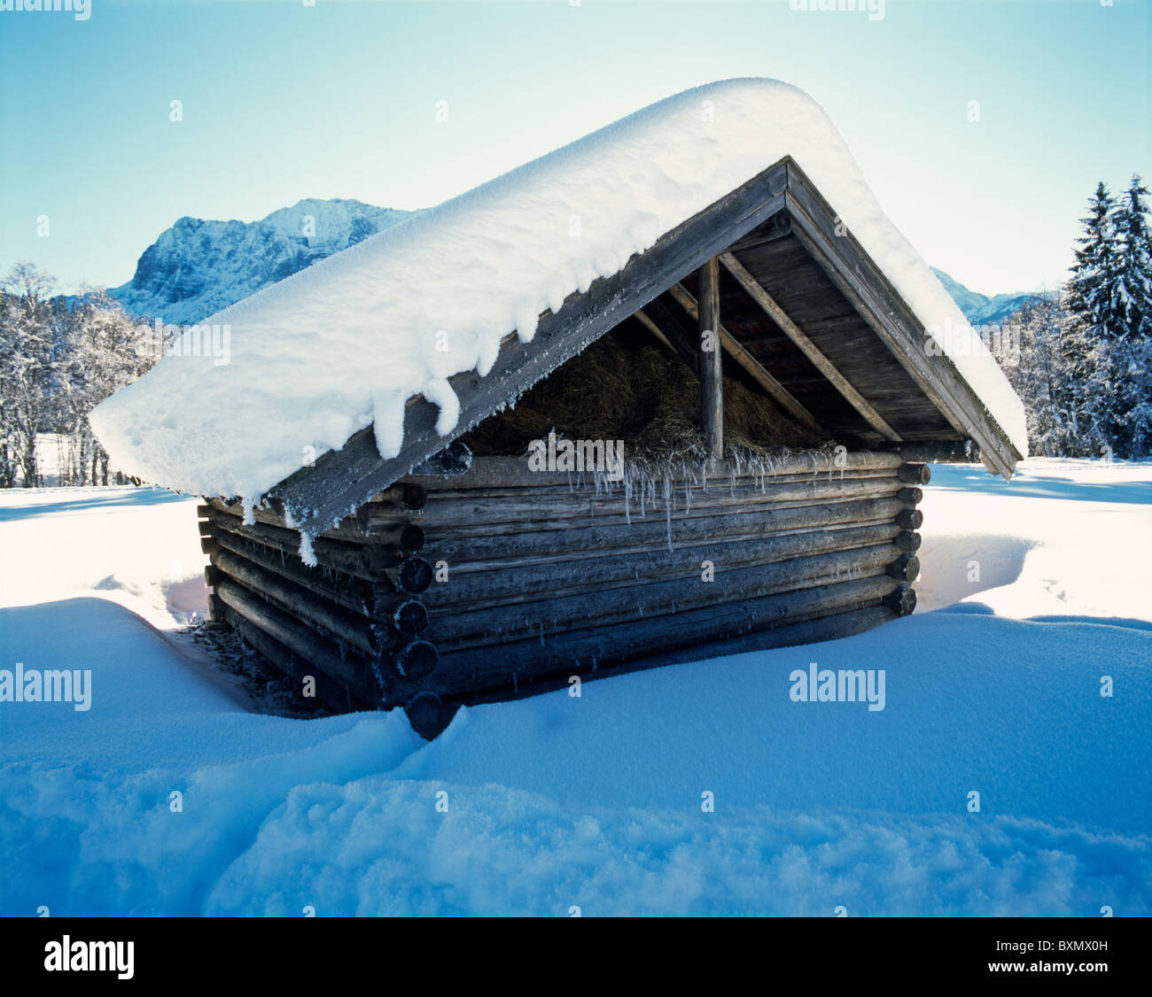 Snow-covered haystack roof located in a mountain pasture ...