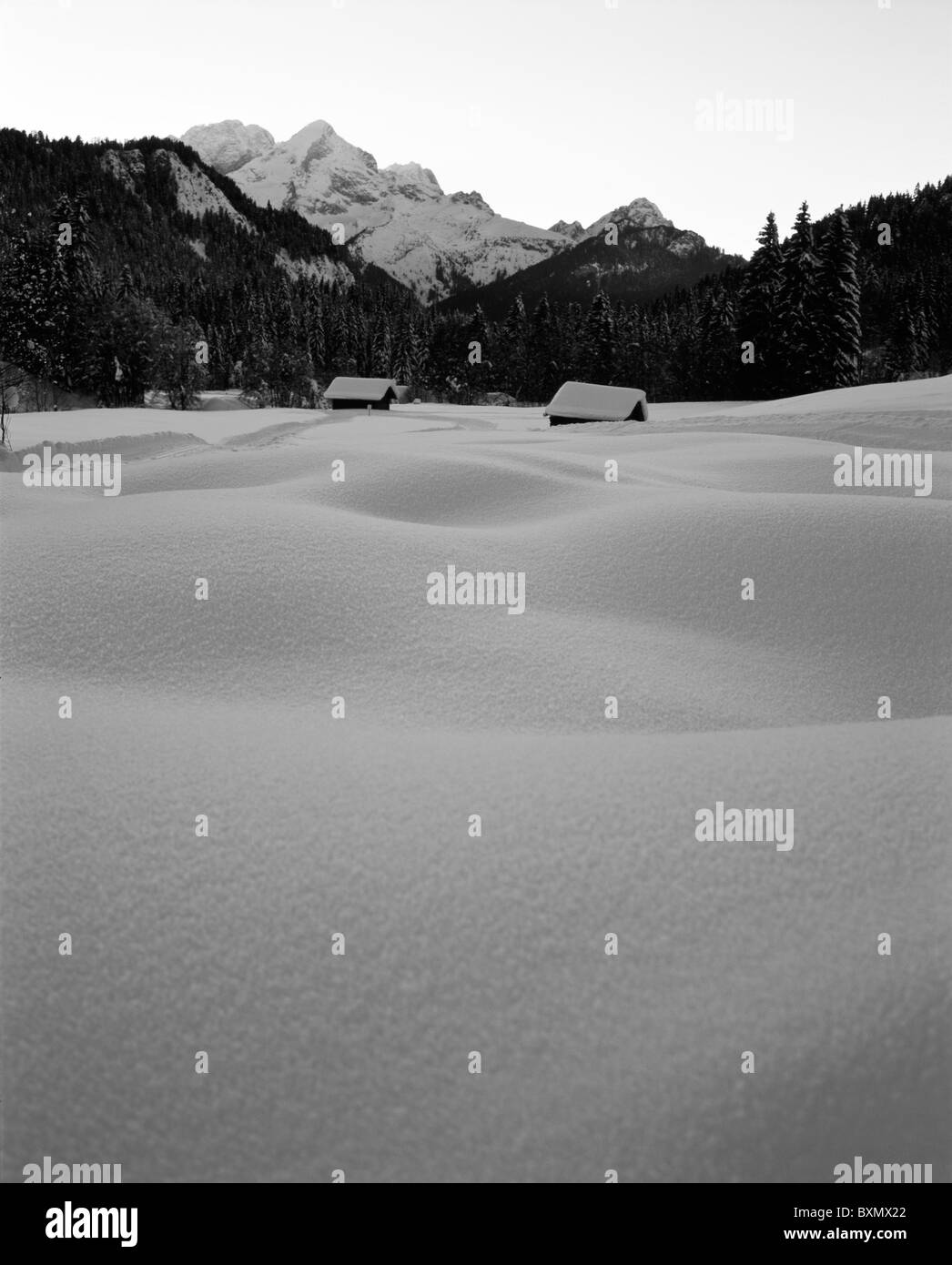 Pellet in the Black and White Stock Photos & Images - Alamy