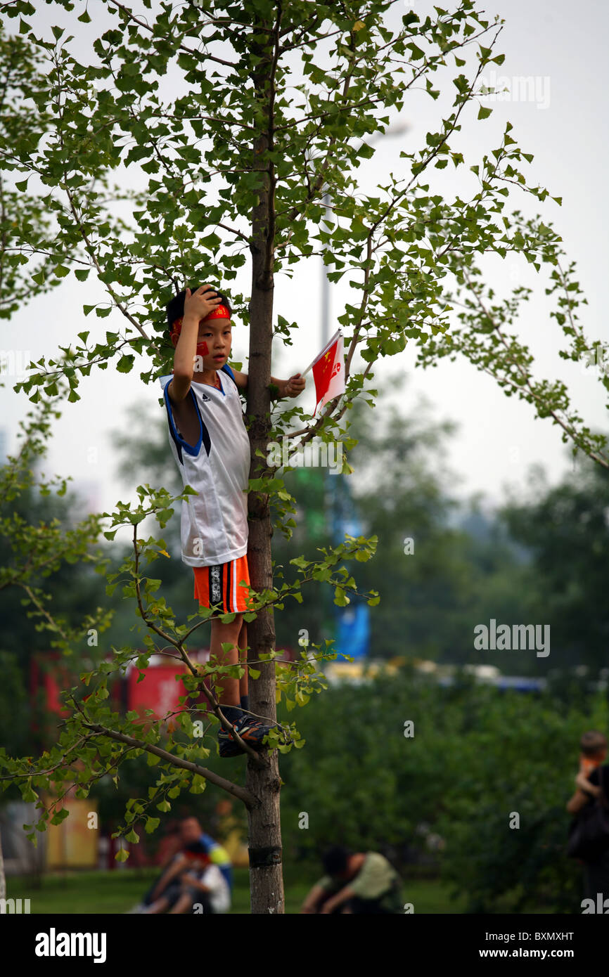 Boy up tree watching pre-Olympic Parade, Beijing Olympic Games, China ...