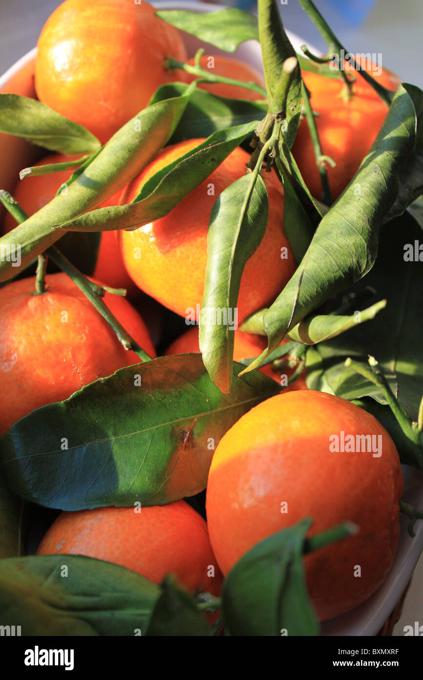 Fresh orange clementines with green leaves Stock Photo - Alamy