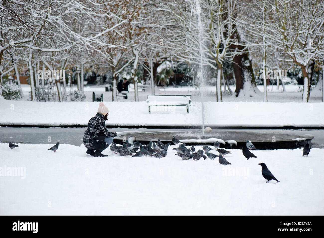 London birds hi-res stock photography and images - Alamy