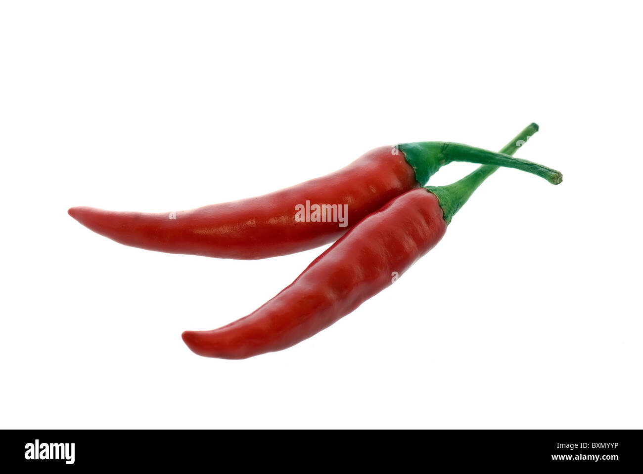 Fire red chili plant hi-res stock photography and images - Alamy