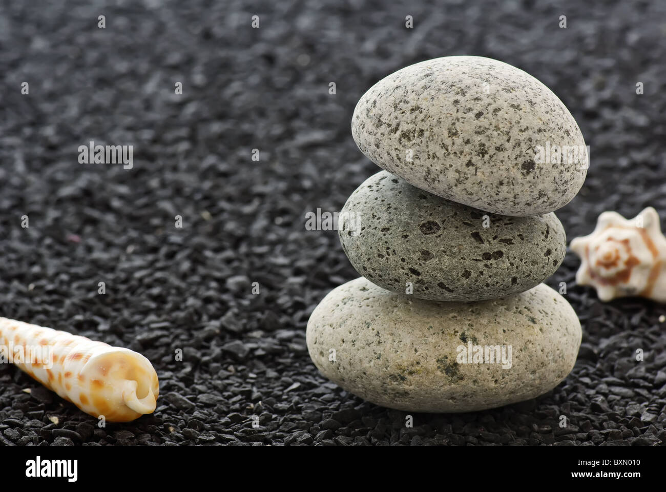 Struktur shell hi-res stock photography and images - Alamy