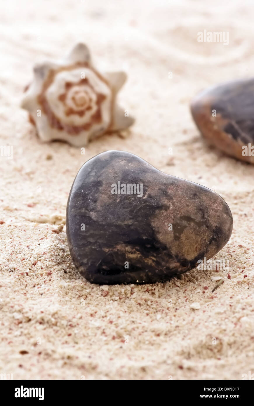 Struktur shell hi-res stock photography and images - Alamy